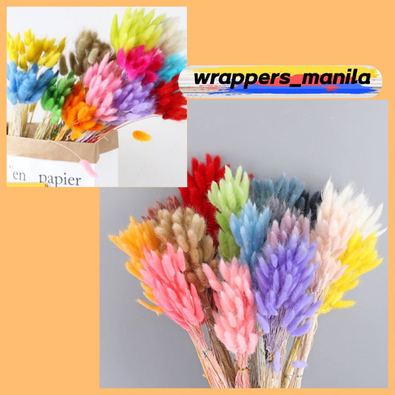 Bunny Tails Dried Flower (IMPORTED) – wrappers_manila